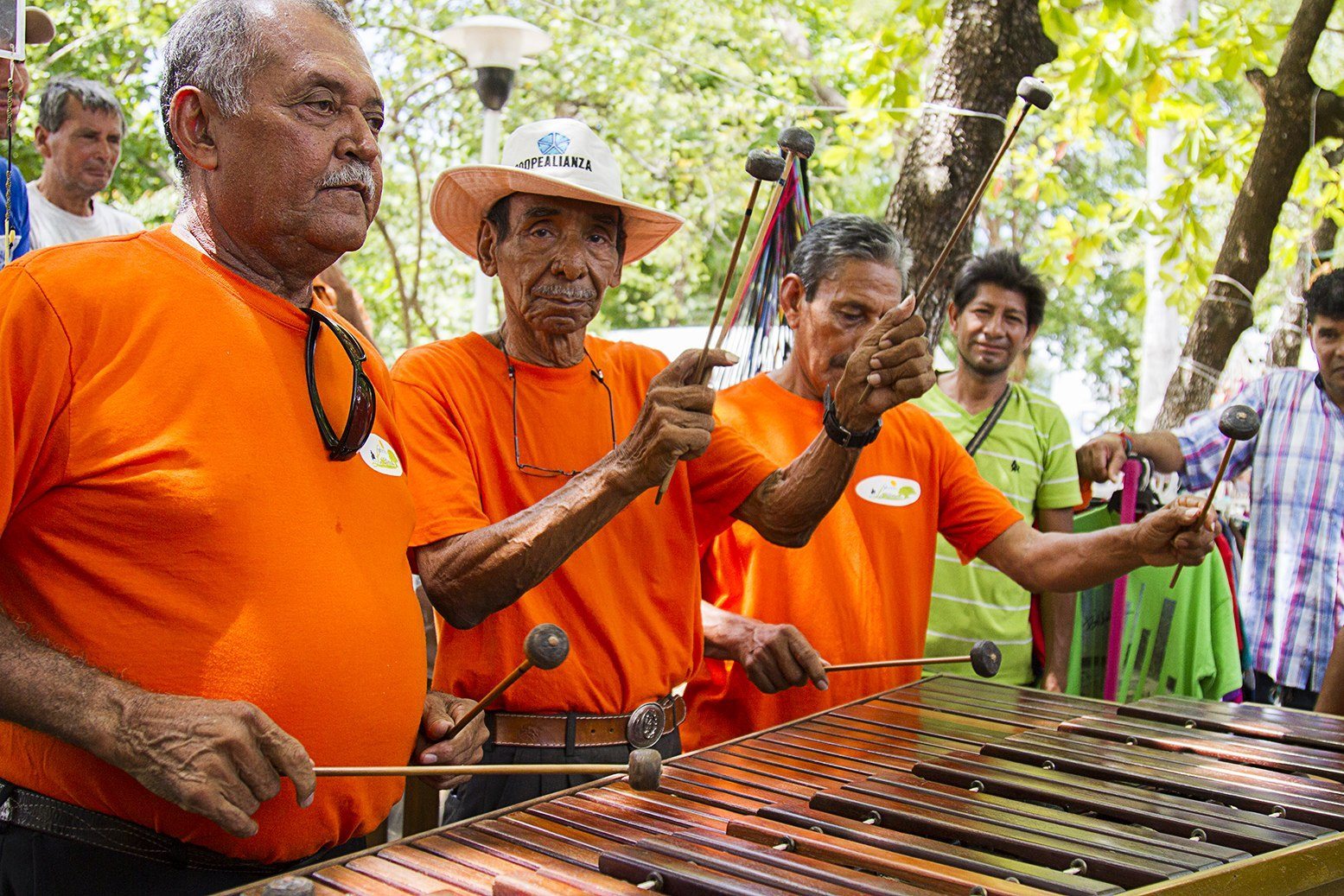 Guanacaste Excursions & Tours | Guanacaste Adventures